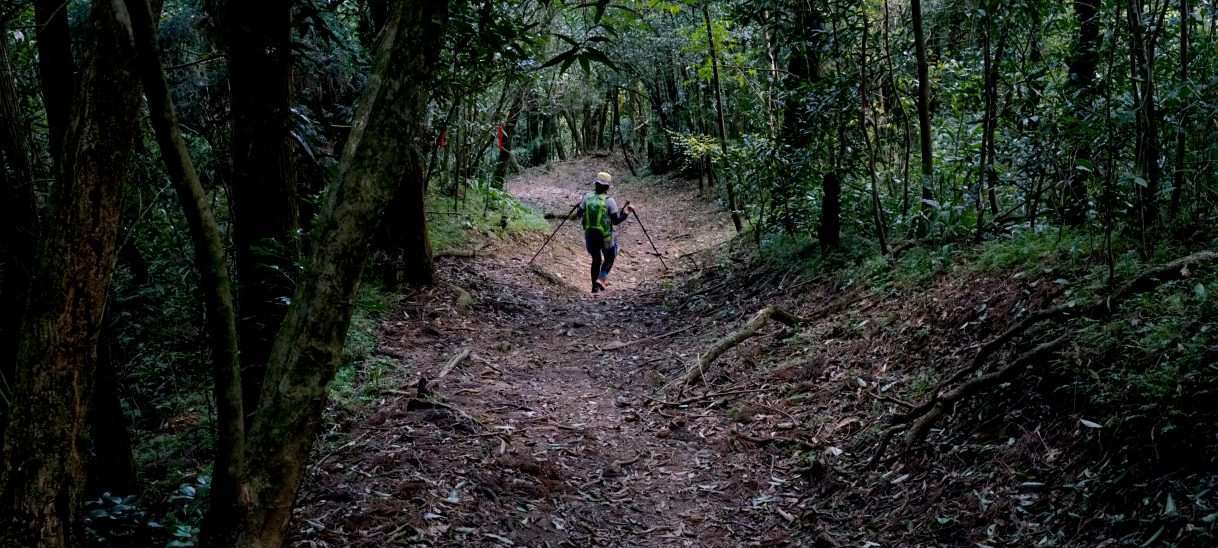 Secluded Forest Retreat - Relax and Unwind | Topology Travel